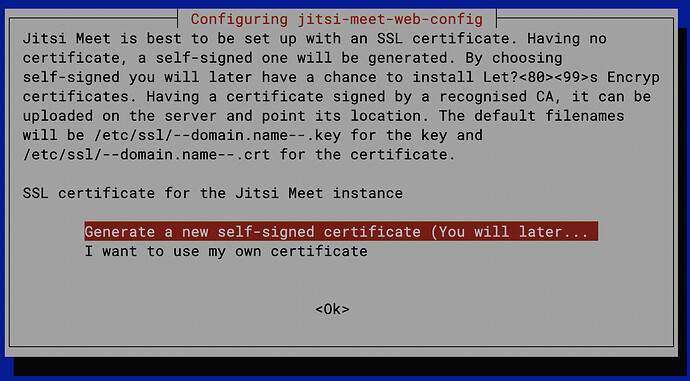 Jitsi Meet + AWS : Your Ultimate Setup and Scaling Companion | Texple